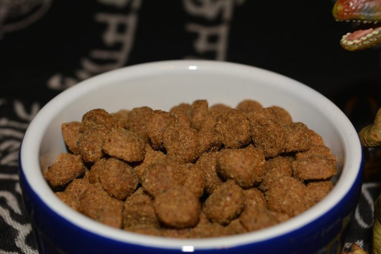 Best Dog Food to Build Muscle (2023) - Top 9 Picks! - We Love Doodles