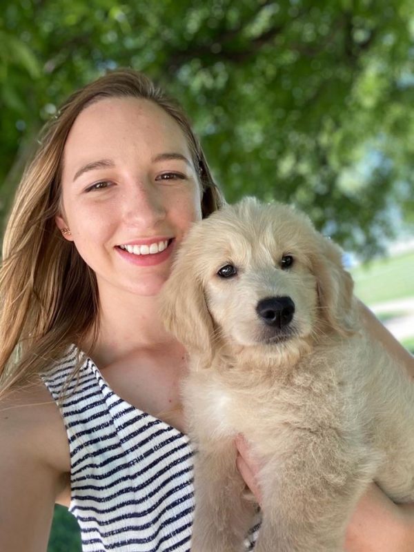 Goldendoodle Puppies in Minnesota (MN) – Top 6 Breeders!