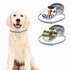 Dewel Flea and Tick Collar Review (2024) - We Love Doodles