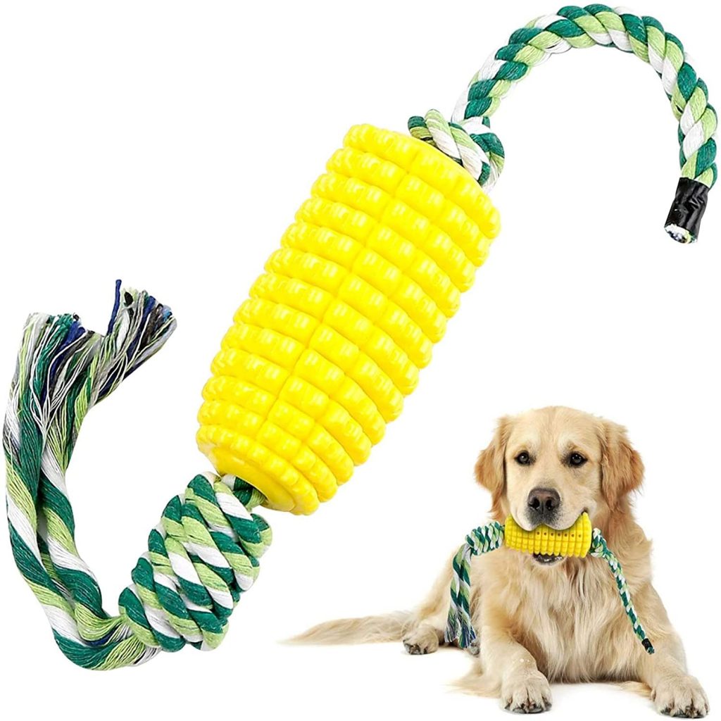 Best Toys for a Goldendoodle - Top 7 Picks! - We Love Doodles