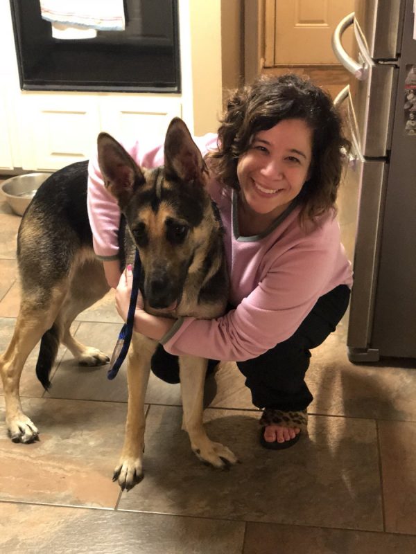 Best Dog Rescues in Houston, Texas - Top 7 Picks! - We Love Doodles