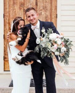 Bernedoodle Puppies in Virginia – Top 5 Breeders!