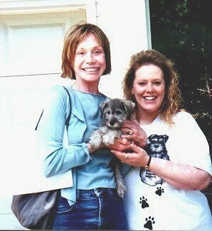 Schnoodle Rescues for Adoption – Top 5!