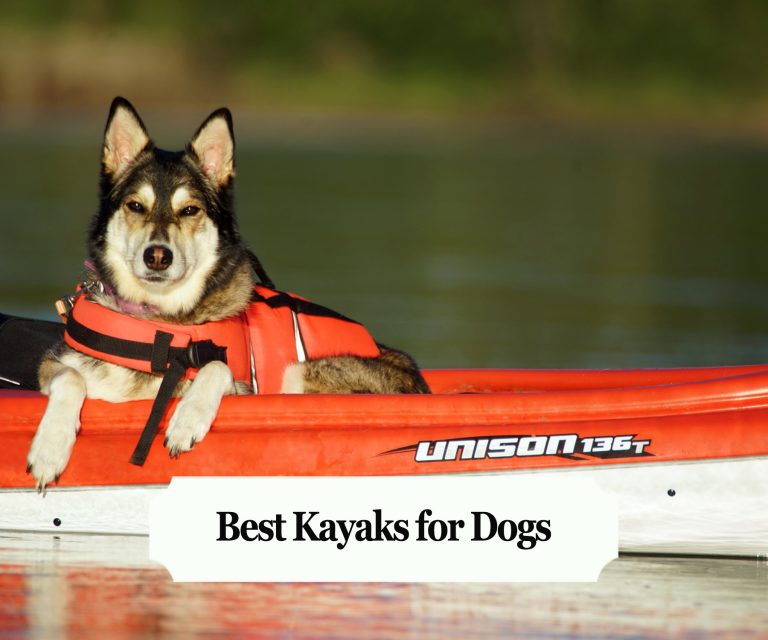 Best Kayaks for Dogs - Top 6 Picks! (2024) - We Love Doodles