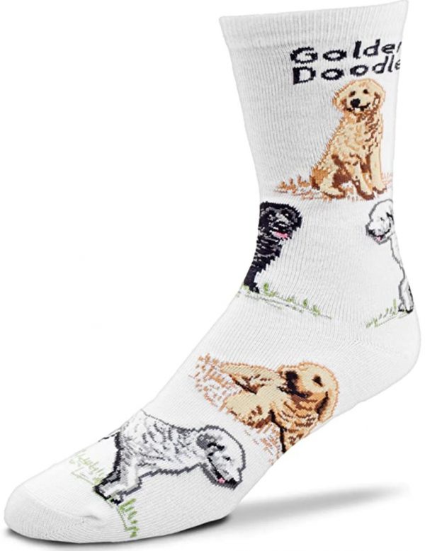 Best Goldendoodle Gifts – Top 18 Picks!