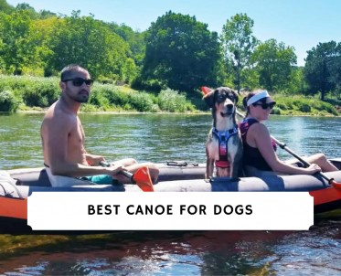 Best Canoe for Dogs - Top 9 Picks! - We Love Doodles