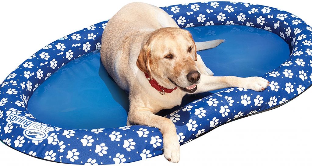 Best Raft for Dogs - Top 9 Picks (2024) - We Love Doodles