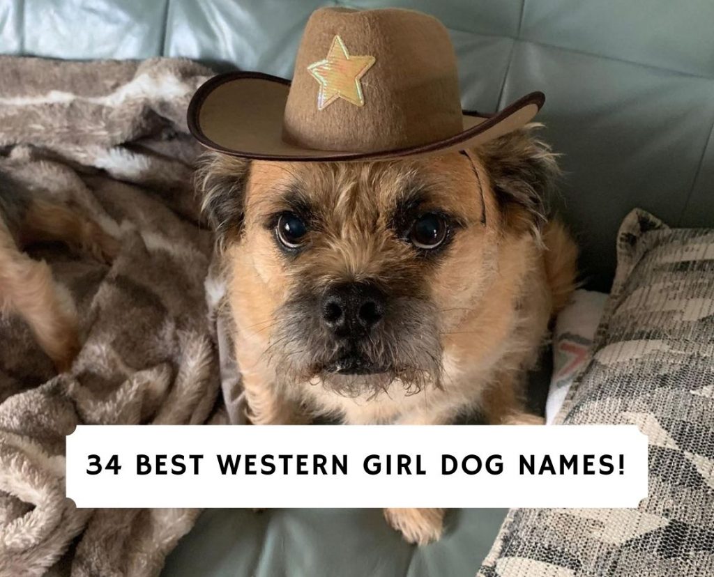 34 Best Western Girl Dog Names 2024 We Love Doodles 34 Best Western Girl Dog Names 2024 We Love Doodles