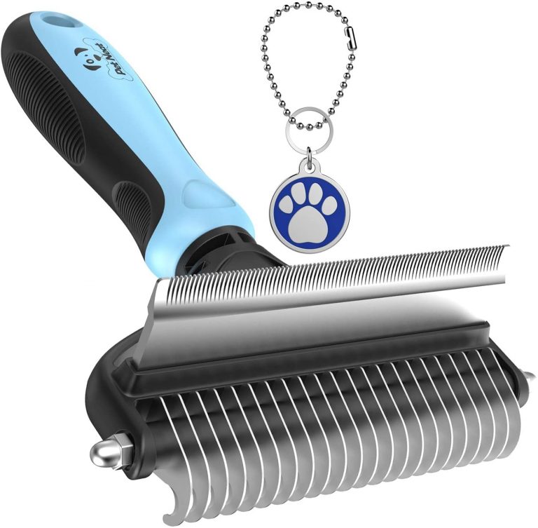 Best Brush for a Border Collie - Top 7 Picks! (2024) - We Love Doodles