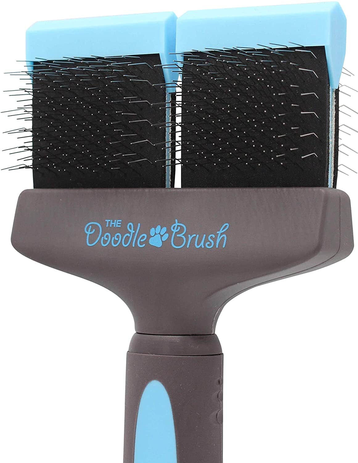 The 7 Best Brushes for a Havanese! - We Love Doodles