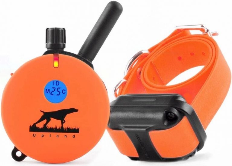 Best Shock Collar for Hunting Dogs - Top 5 Picks! - We Love Doodles