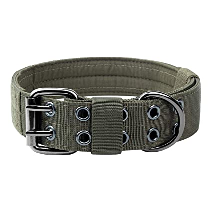 The 6 Best Escape-Proof Dog Collars! (2023) - We Love Doodles