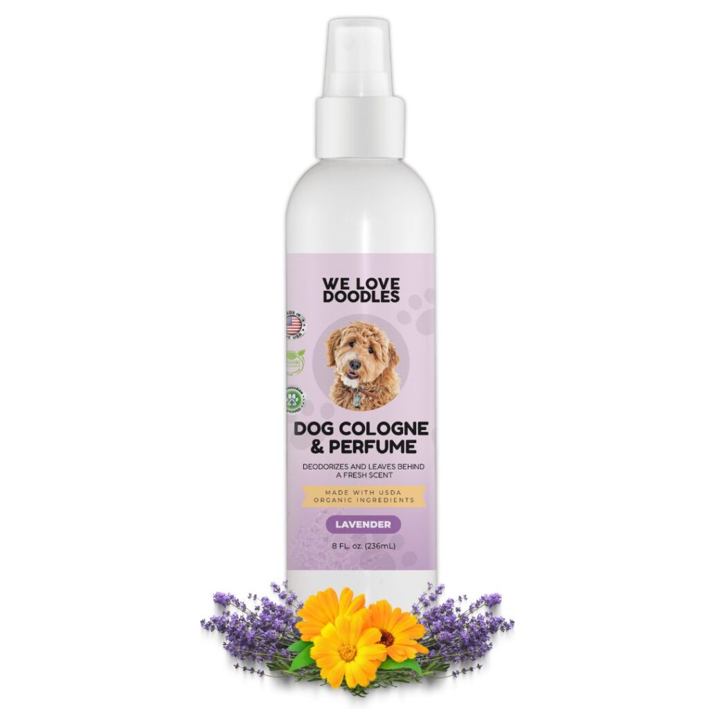 Best Dog Cologne that Groomers Use! (2024) - We Love Doodles