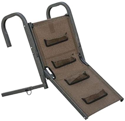 Best Dog Ramp for a Pontoon Boat – Top 5!