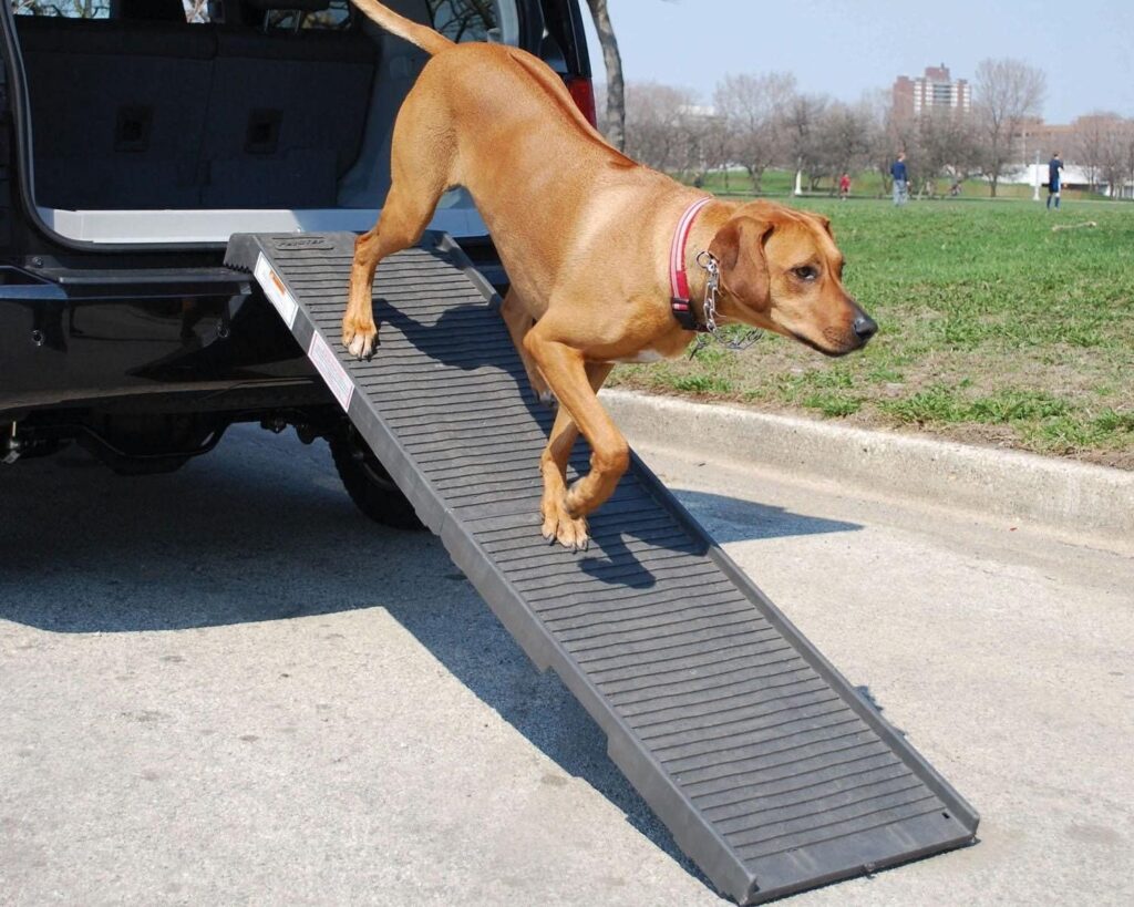 Best Dog Ramp for a Pontoon Boat – Top 5!