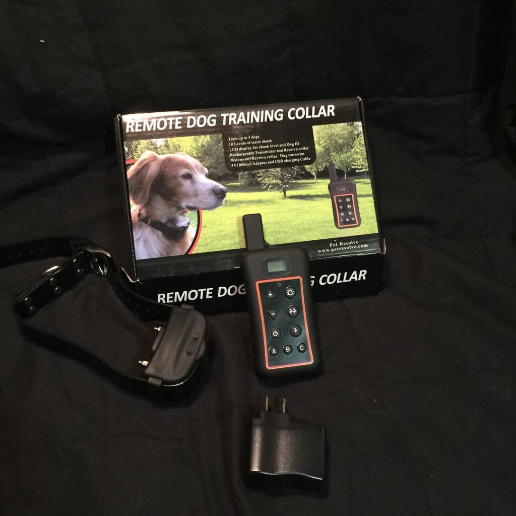 Best Shock Collar For Large Dogs - Top 5! (2023) - We Love Doodles