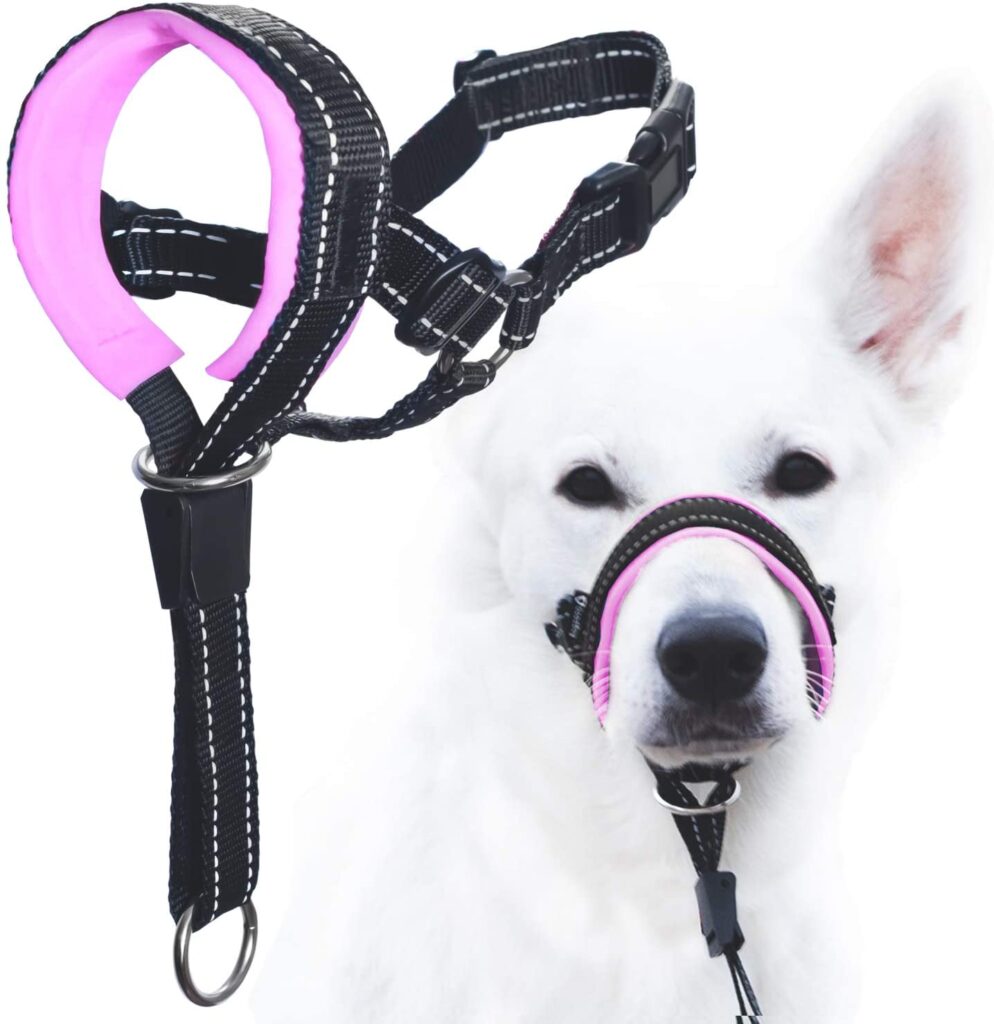 The 6 Best Dog Head Halters! - We Love Doodles