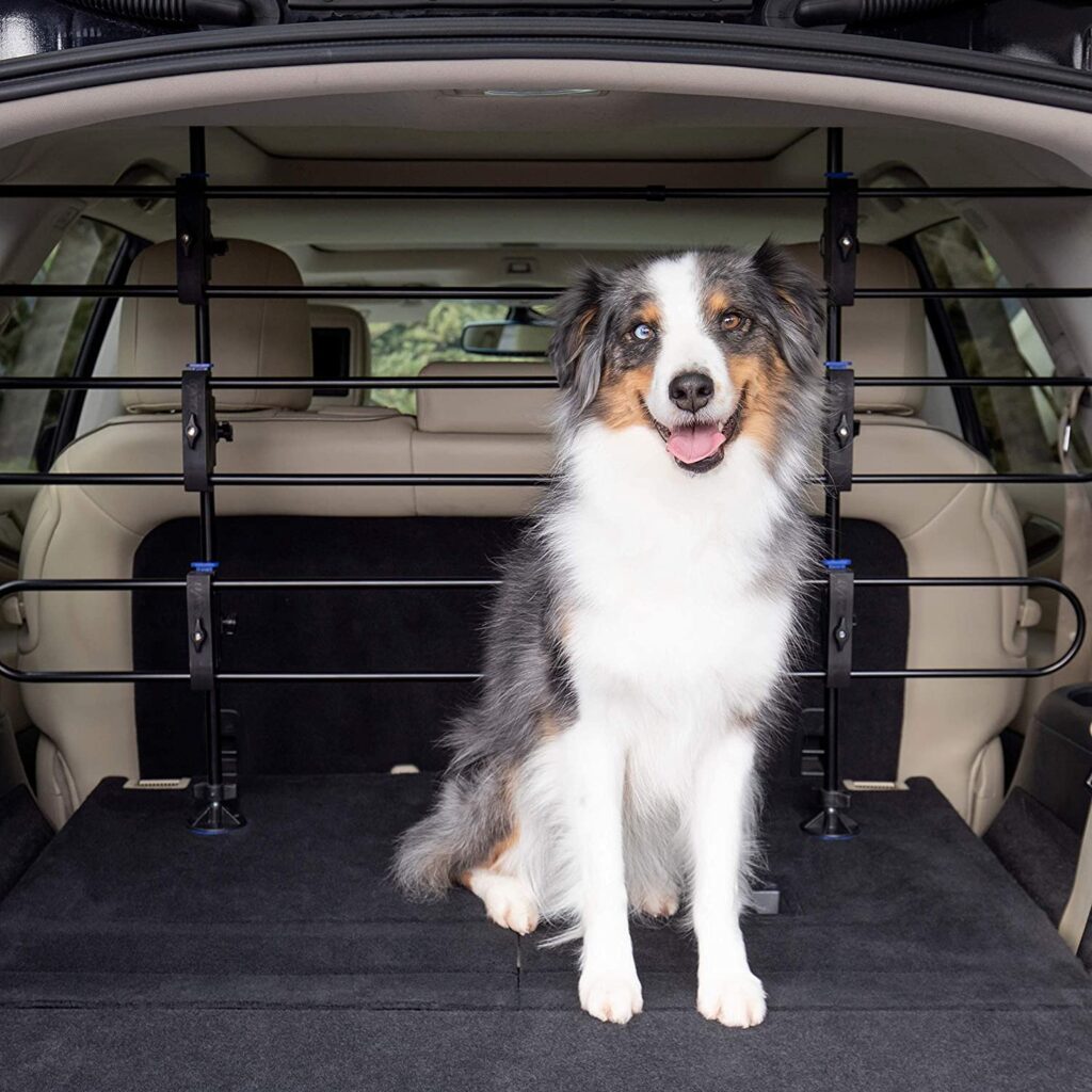 The 10 Best Subaru Outback Dog Barriers Other Models We Love Doodles