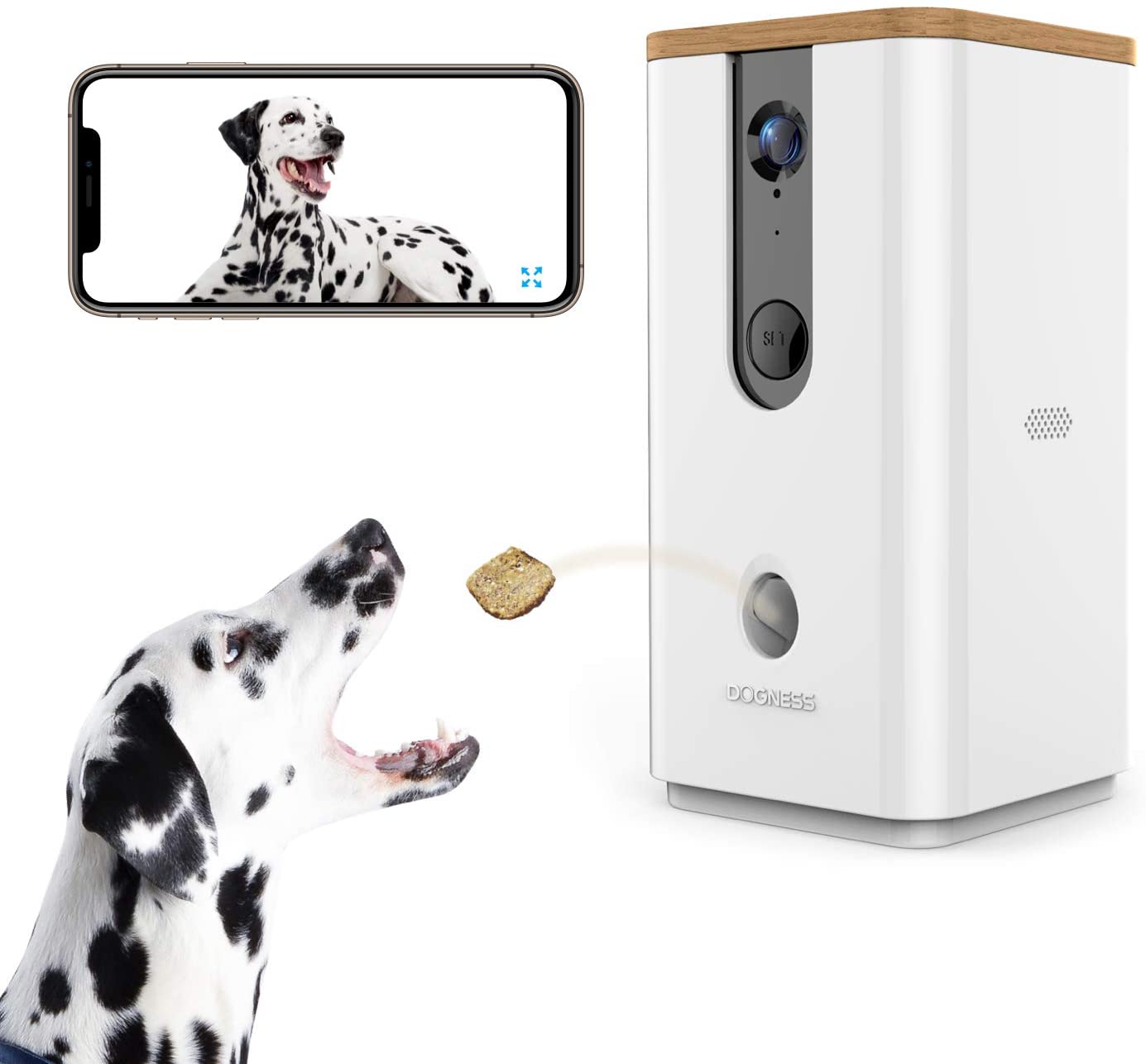The 8 Best Dog Treat-Dispensing Cameras in 2023! - We Love Doodles