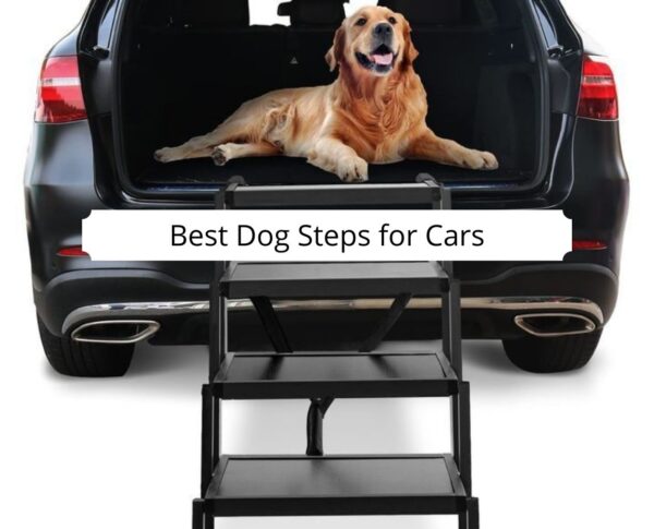 The 8 Best Dog Steps for Cars!