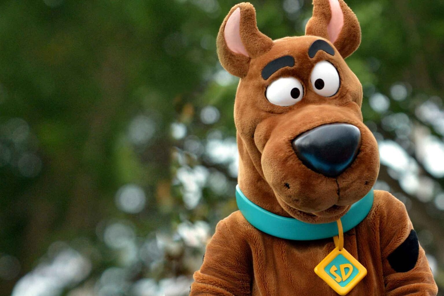 100 Best Cartoon Dog Names That Are Actually Good! - We Love Doodles