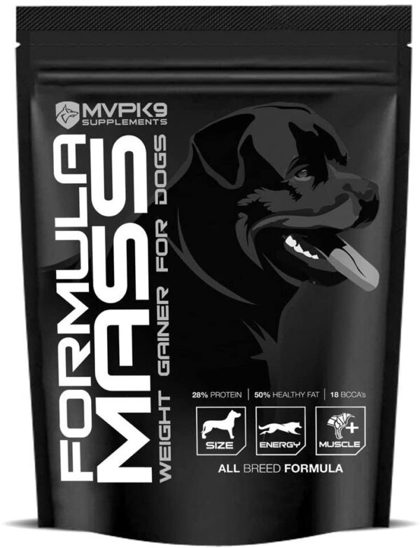 The 9 Best Muscle Growth Supplements for Dogs in 2024! - We Love Doodles
