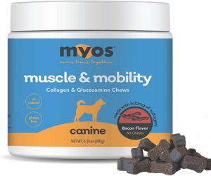The 9 Best Muscle Growth Supplements for Dogs in 2024! - We Love Doodles