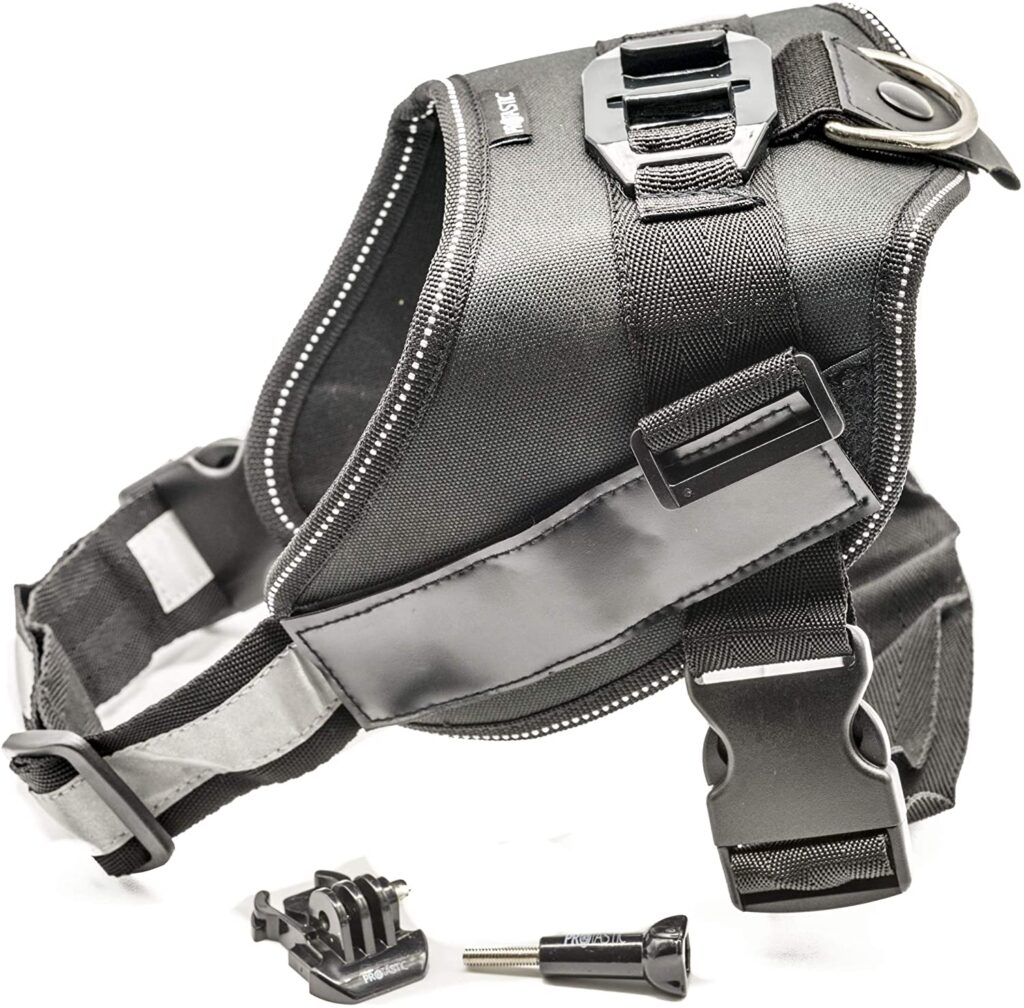 The 5 Best Go Pro Dog Harnesses! - We Love Doodles