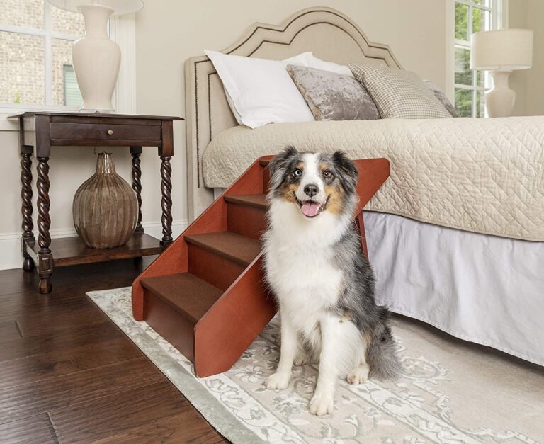 The 8 Best Dog Steps for a Bed in 2024! - We Love Doodles