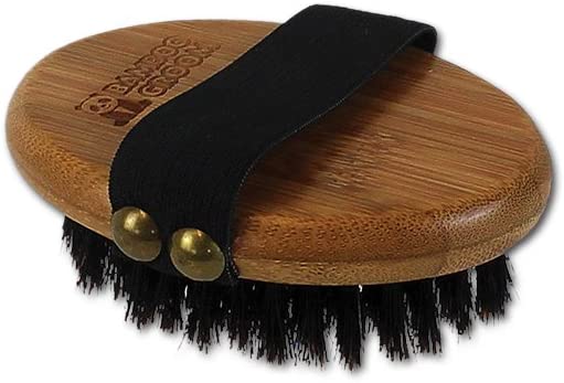The 15 Best Dog Brushes for Tangles in 2024! - We Love Doodles