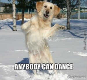 The 20 Best Funny Dancing Dog Memes! - We Love Doodles