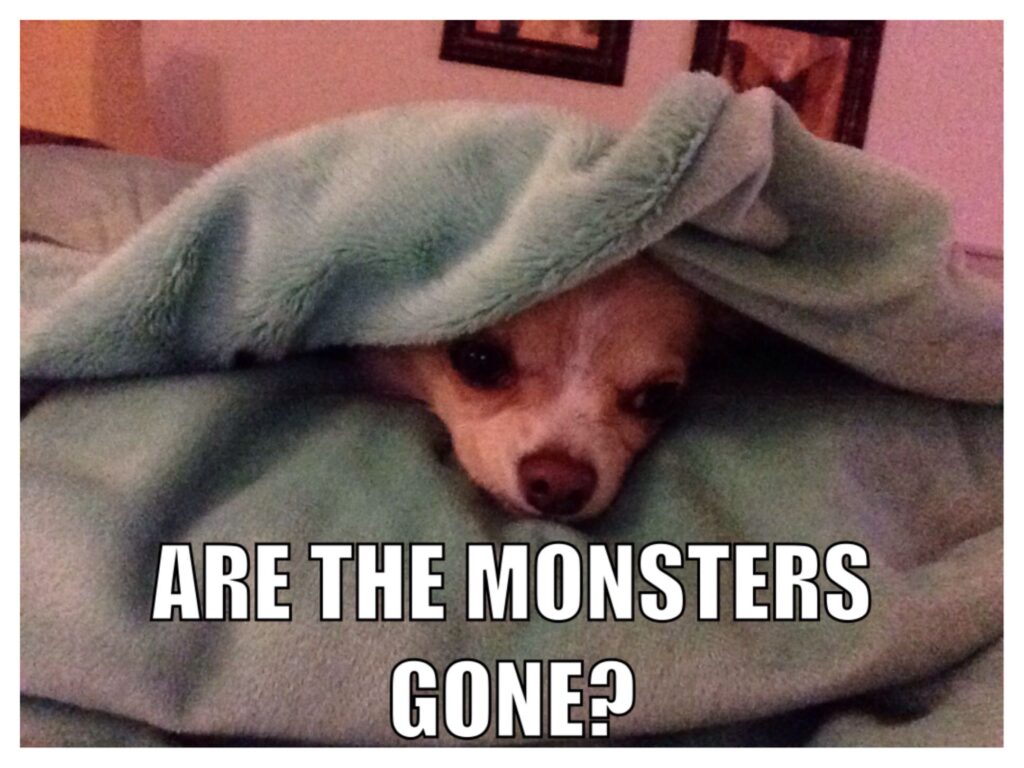 The 15 Best Scared Dog Memes! - We Love Doodles
