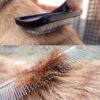 The 15 Best Dog Brushes for Tangles in 2024! - We Love Doodles