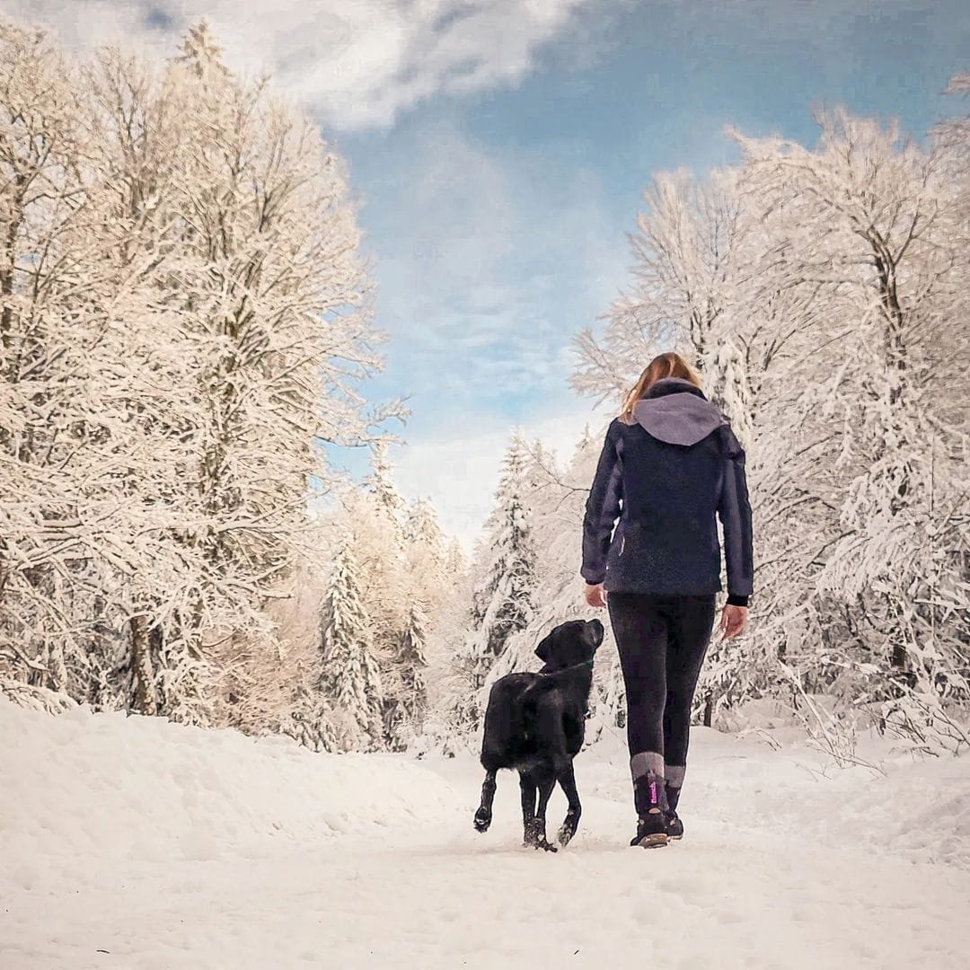 13 Czech Dog Commands To Teach Your Dog! - We Love Doodles