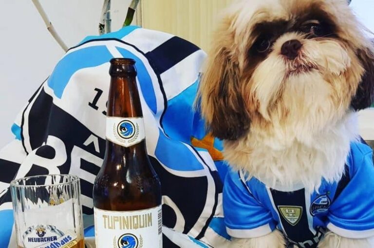 113 Beer Names For Dogs 2023 We Love Doodles 113-beer-names-for-dogs-2023-we-love-doodles