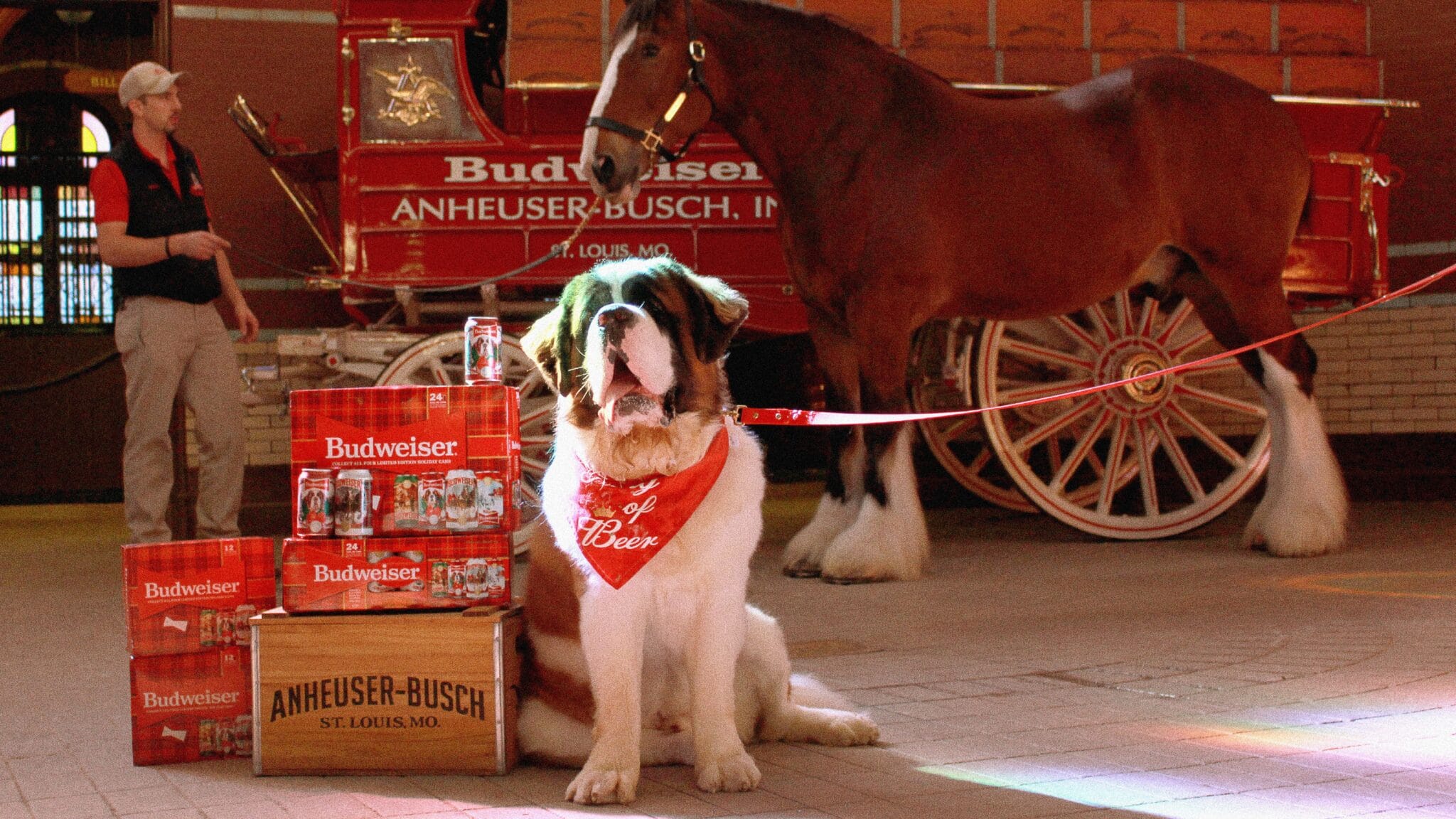 113 Beer Names For Dogs 113 Beer Names For Dogs