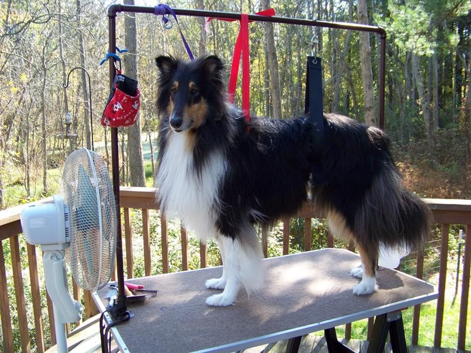 How to Build a DIY Dog Grooming Table! - We Love Doodles