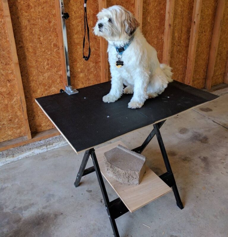 How to Build a DIY Dog Grooming Table! - We Love Doodles