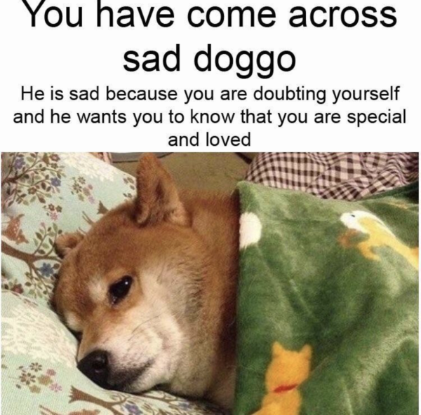 The 13 Best Sad Dog Memes! - We Love Doodles