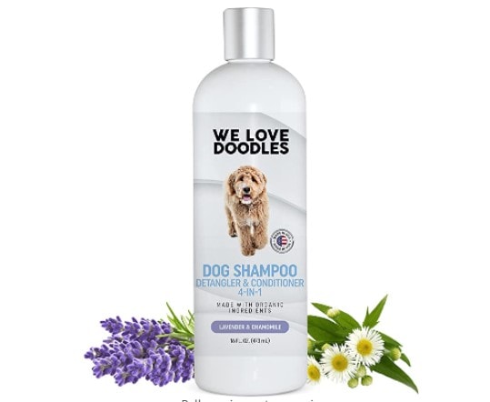 Best Shampoo for Poodles -Top 10 Picks!