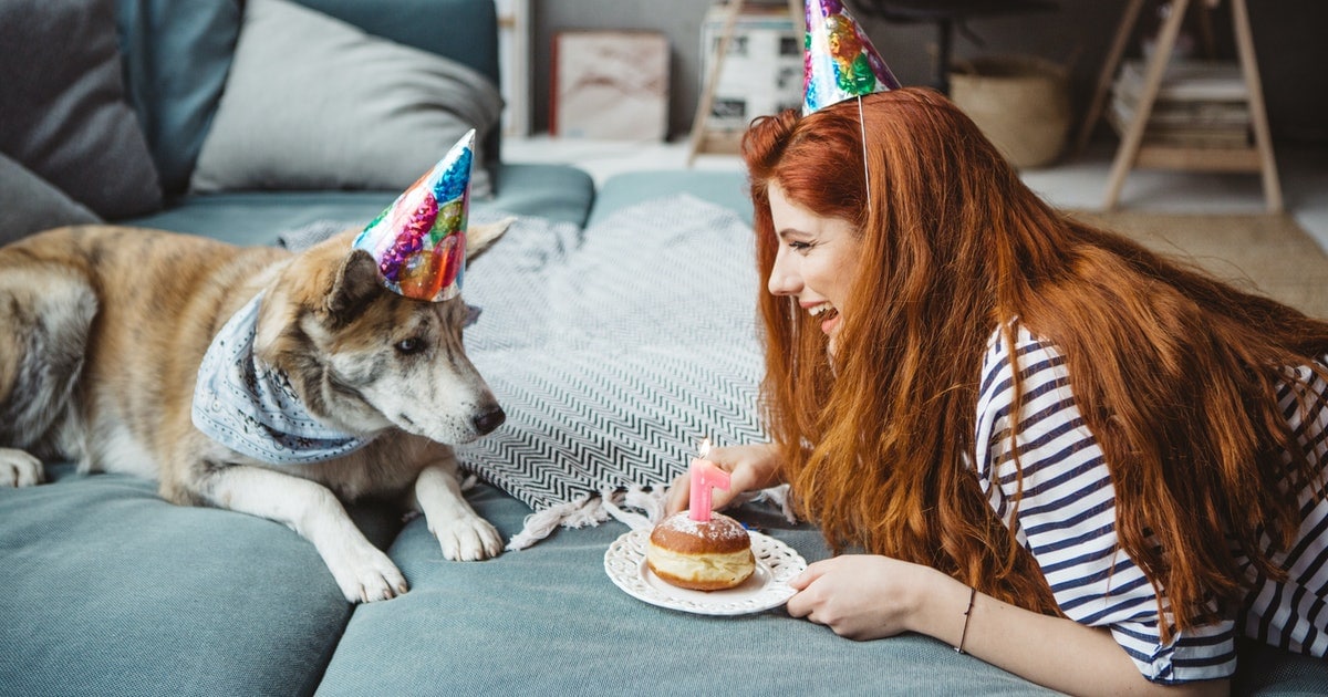 Best Dog Birthday Captions for Social Media! (2024) - We Love Doodles