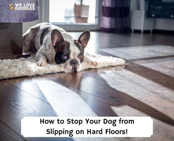 How to Stop Your Dog from Slipping on Hardwood Floors! - We Love Doodles