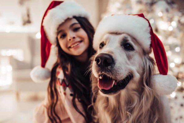 70 Best Dog Christmas Puns! - We Love Doodles