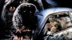 The 6 Scariest Dog Horror Movies! - We Love Doodles