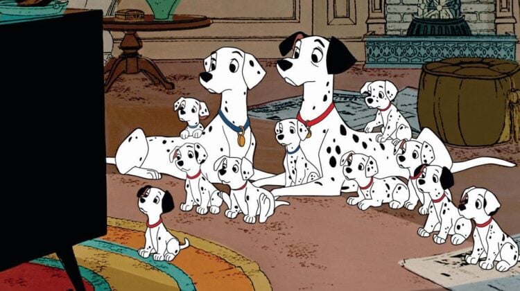 The 6 Best Funny Dog Movies! - We Love Doodles