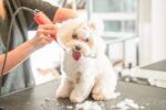How to Build a DIY Dog Grooming Table! - We Love Doodles