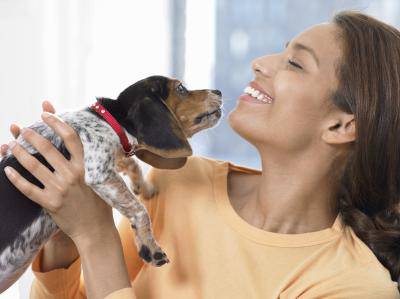 Pigeon Chest Dog: What It Is, Why It Happens, & What to Do! - We Love ...
