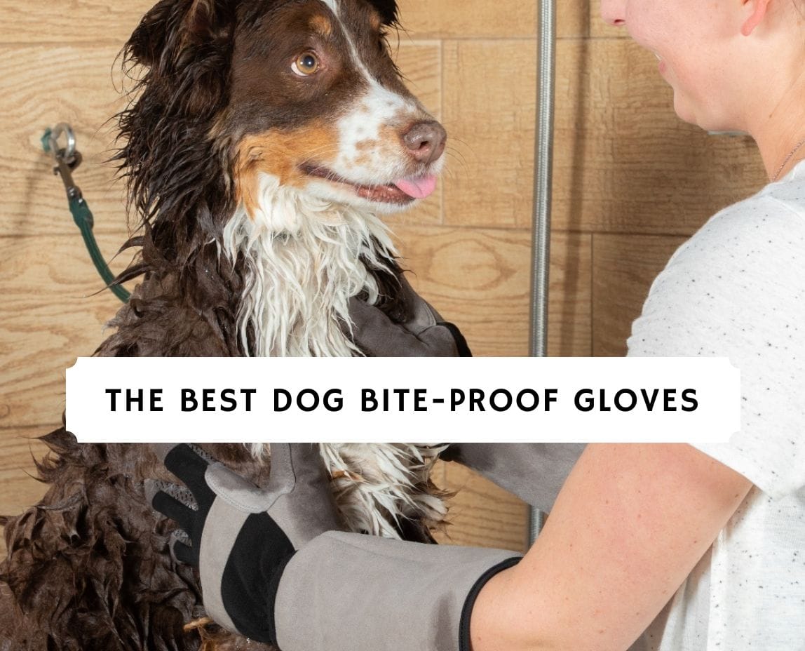 The 8 Best Dog Bite-Proof Gloves!