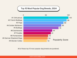 New Study: The 50 Most Popular Dog Breeds of 2024