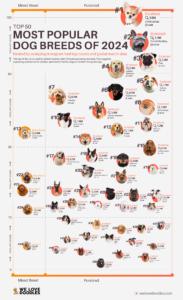 New Study: The 50 Most Popular Dog Breeds of 2024